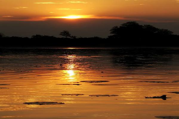 Stay Botswana - Kwalate Safaris