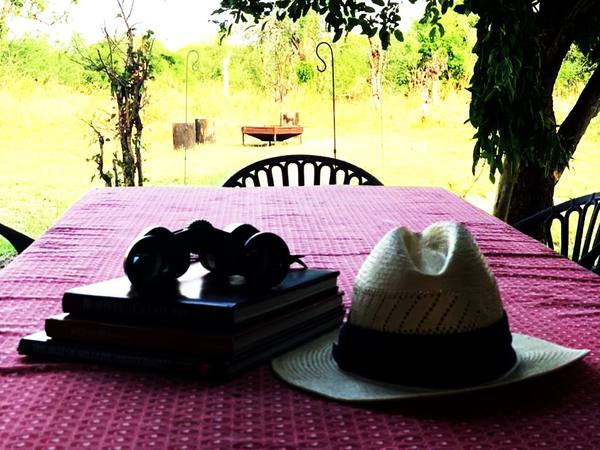 Stay Botswana - The Termite Mound